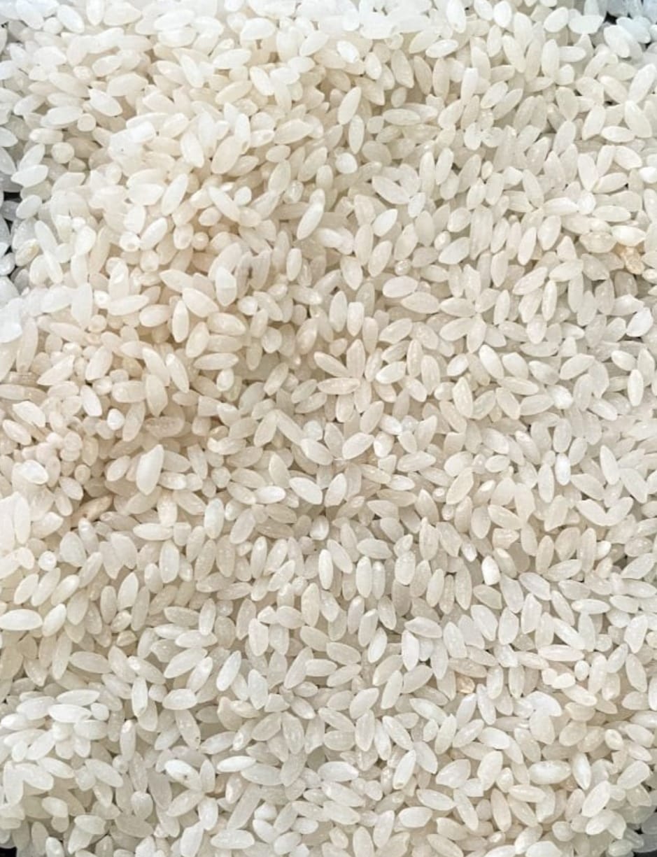 How Does the Golden Grain of Joha Rice Weave Magic into Every Meal with ...