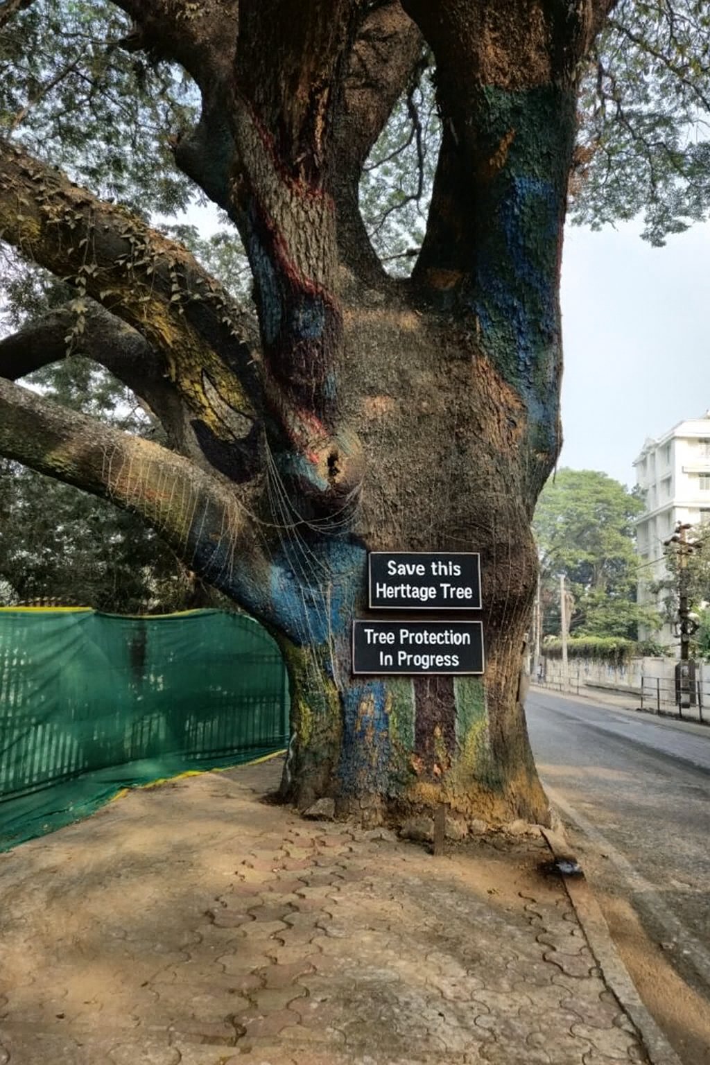 Why Is Digholi Pukhri's Old Tree an Unforgettable Landmark? (2025 ...